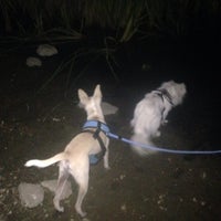 Frank G. Bonelli Regional Park Swim Beach - 120 Via Verde