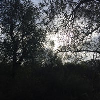 Blue Sky Ecological Reserve - 3 tips