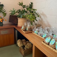 Iggy's Bread of the World - 30 tips from 483 visitors