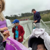 Lake Merced Run Loop - Lakeshore - 11 tips from 566 visitors