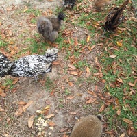 Covington Trailhead - Hiking Trail in Saint John