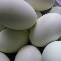 Carcar Rotunda - Park in Carcar City