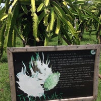 Refmad Farm, Dragon Fruits