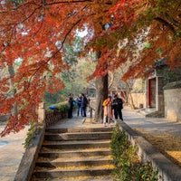 太清宫 Taiqing Palace - Temple