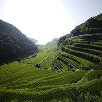 浜野浦の棚田 - Farm