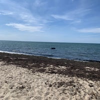 Ptown Sand Dunes - Beach