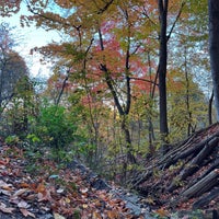 Crothers' Woods - Hiking Trail in Toronto