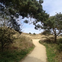 Ainsdale Sand Dunes National Nature Reserve - Pinfold Lane