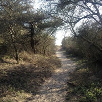 Ainsdale Sand Dunes National Nature Reserve - Pinfold Lane