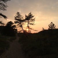 Ainsdale Sand Dunes National Nature Reserve - Pinfold Lane
