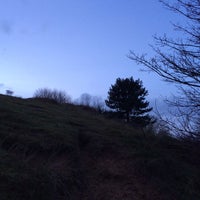 Ainsdale Sand Dunes National Nature Reserve - Pinfold Lane