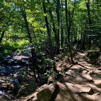 Fore River Sanctuary Trail - 1 tip from 122 visitors