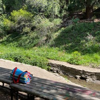 Codornices Park - Berkeley Hills - 17 tips from 1052 visitors