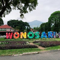 Kebun Teh Wonosari - 31 tips