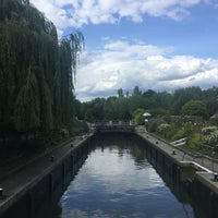 Iffley Lock