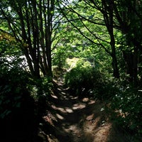 Discovery Park Loop Trail - Trail in Seattle