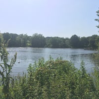 Highgate Men's Bathing Pond - Millfield Ln