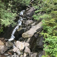 Ira Spring Trailhead - Trail