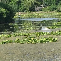 Normandale Lake Park - Lake in West Bloomington