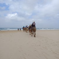 Anna Bay - 2 tips from 341 visitors