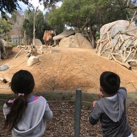 Elephant Odyssey - Balboa Park - San Diego, CA