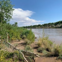 ABQ BioPark Tingley Beach - Beach