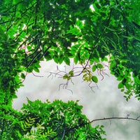 Cross Maidan - Mahatma Gandhi Road