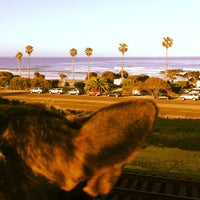 Cardiff Reef - Cardiff-by-the-Sea, CA