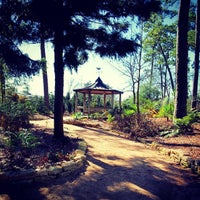 Mercer Arboretum & Botanic Gardens - Garden in Humble