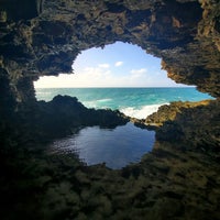 Animal Flower Cave - Cave