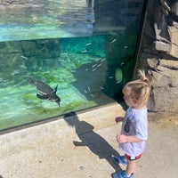 Mesker Park Zoo & Botanic Garden - Zoo in Evansville West Side