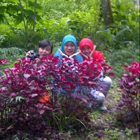 Pemandian Air Panas Cangar - Hot Spring in Batu