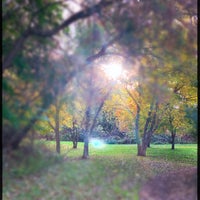 Burnet Park - Park in Syracuse