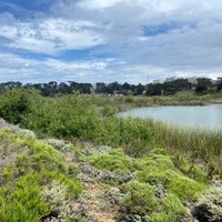 Lake Merced Run Loop - Lakeshore - 11 tips from 566 visitors