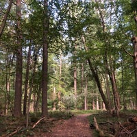 Racebrook Tract - Hiking Trail in Orange