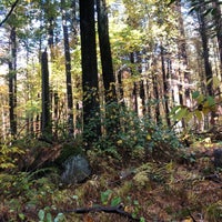 Racebrook Tract - Hiking Trail in Orange