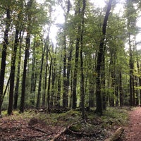 Racebrook Tract - Hiking Trail in Orange