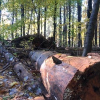 Racebrook Tract - Hiking Trail in Orange