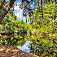 Sea Pines Forest Preserve - Park