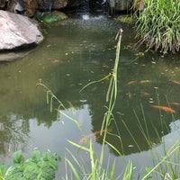Hawkhurst Fish Farm - Hawkhurst, Kent