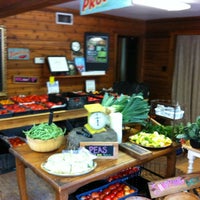 Springdale Farm - 13 tips from 459 visitors