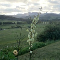 Bushman's Nek Resort