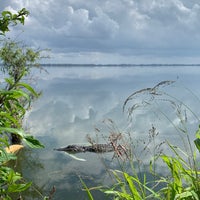 Circle B Bar Reserve - Lakeland, FL
