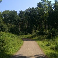 Fineshade Woods - 5 tips from 98 visitors