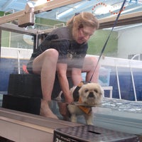 Two Hands Four Paws - West Los Angeles - 2240 Federal Ave