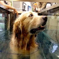 Two Hands Four Paws - West Los Angeles - 2240 Federal Ave