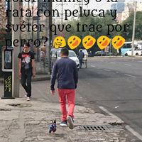 Metro Copilco (Línea 3) - 36 tips