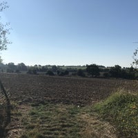 Cogges Farm - 4 tips