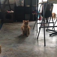 Blue Cat Cafe (Now Closed) - East Cesar Chavez - Austin, TX