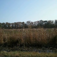 Pungo, VA - Town in Pungo